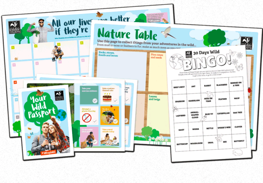 Free Wildlife Activity Pack | Free Stuff UK