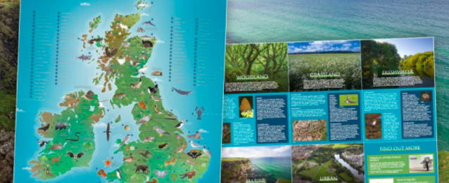 Free Wild Isles Poster | Free Stuff