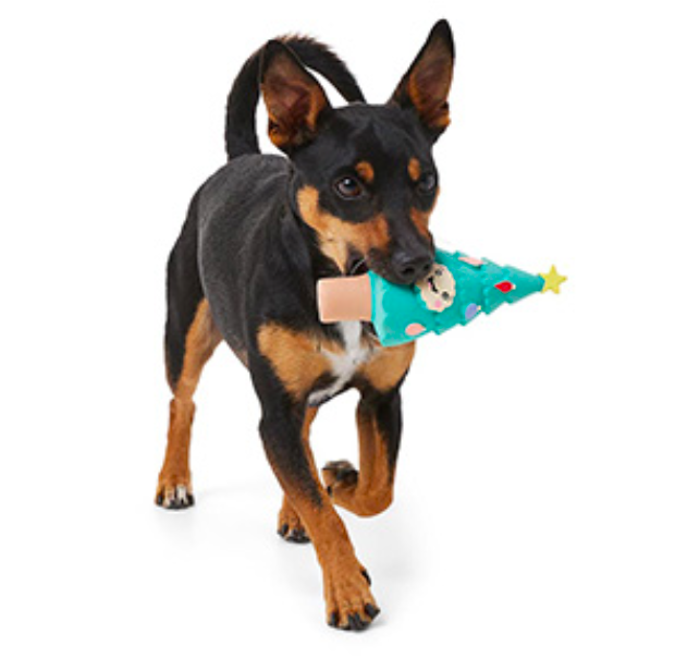 Free Pets At Home Squeaky Dog Toy | Free Stuff UK