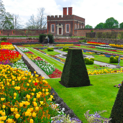 Gardening Freebies | Free Stuff UK | The Best Freebies, Free Samples ...