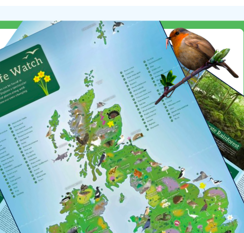 Free Wildlife Watch Poster | Free Stuff UK