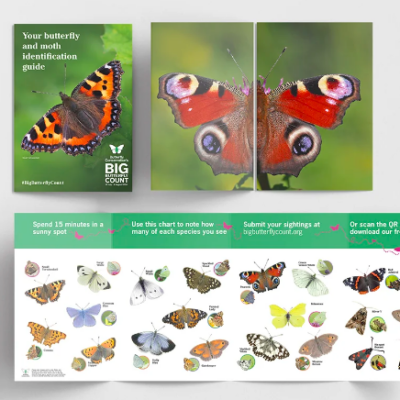 Free Butterfly Guide | Free Stuff UK