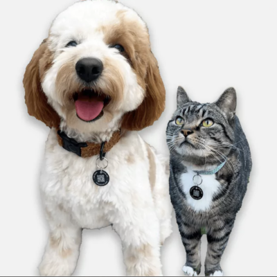 Pet Free Stuff | Free Stuff UK | The Best Freebies, Free Samples And ...