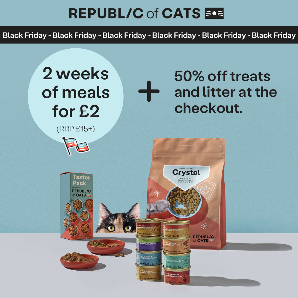 Incredible Cat Food Offer – 28 Meals For £2! | Free Stuff UK