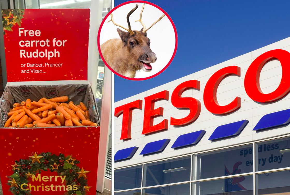 Free Carrot For Rudolph | Free Stuff UK