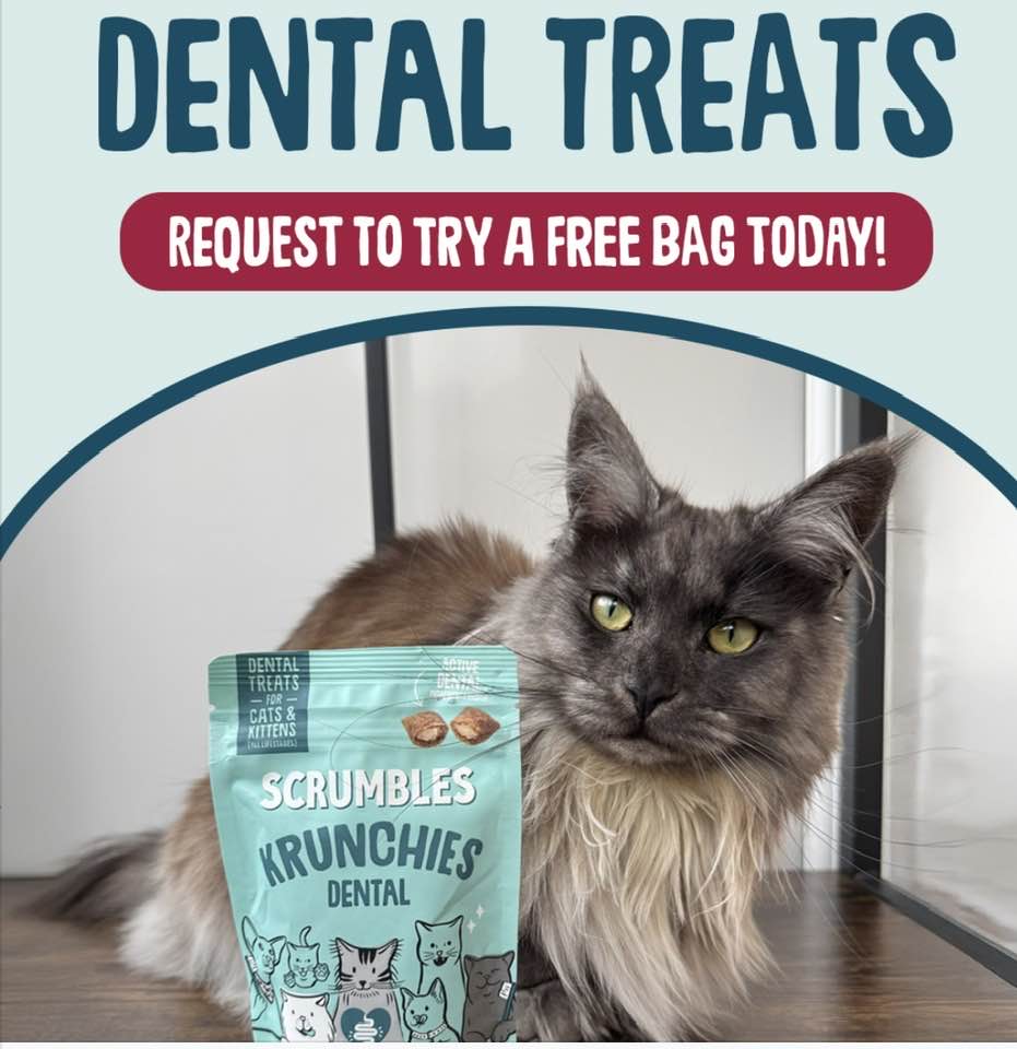 Free Scrumbles Cat Treats | Free Stuff UK