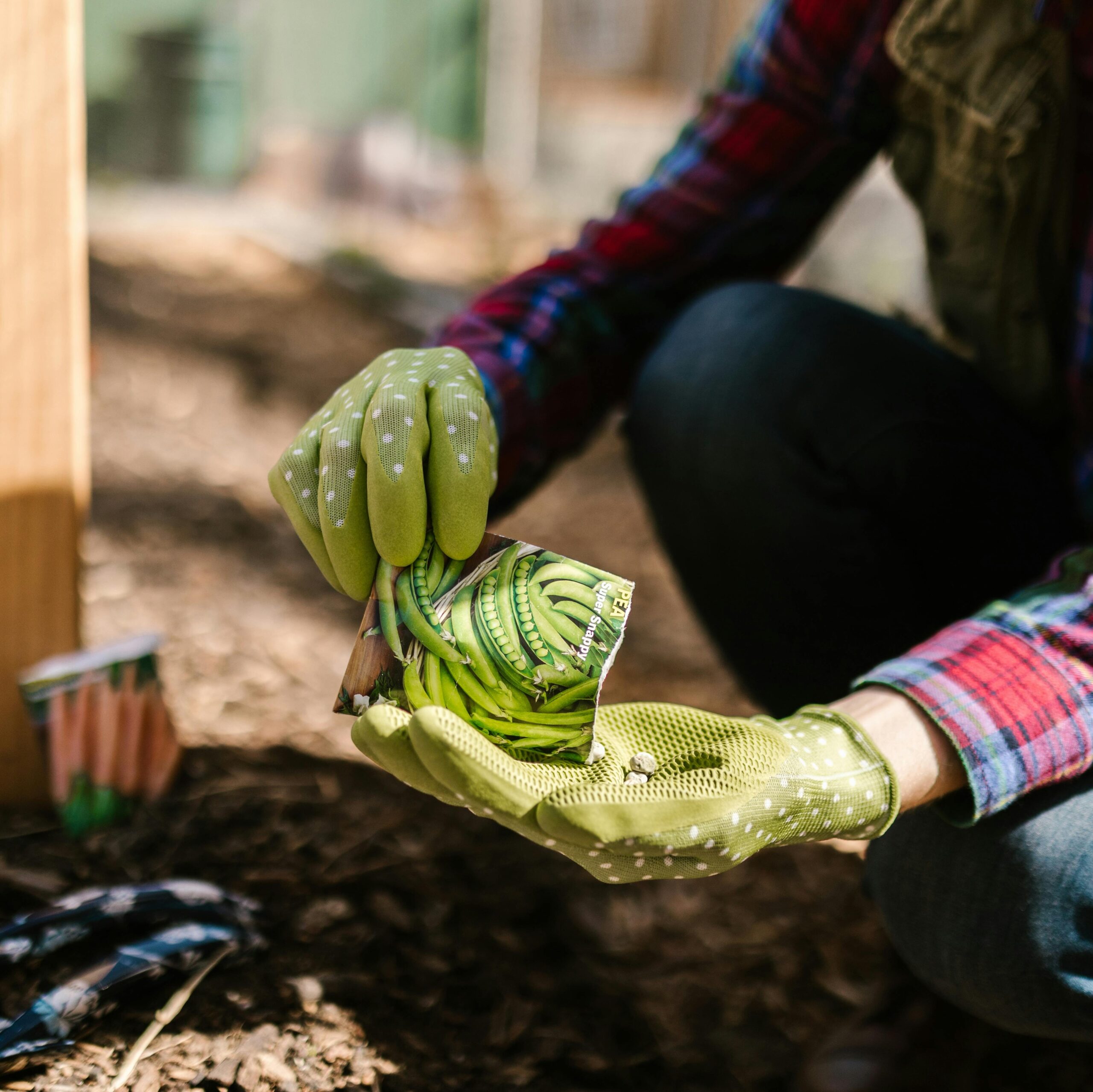 Free Flower & Vegetable Seeds (5 Packets) | Free Stuff UK