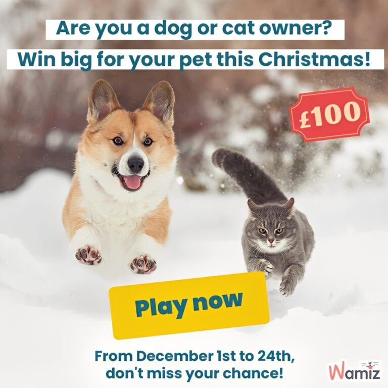 Free Christmas Game – Win Amazon Vouchers (Worth up to £100) | Free ...